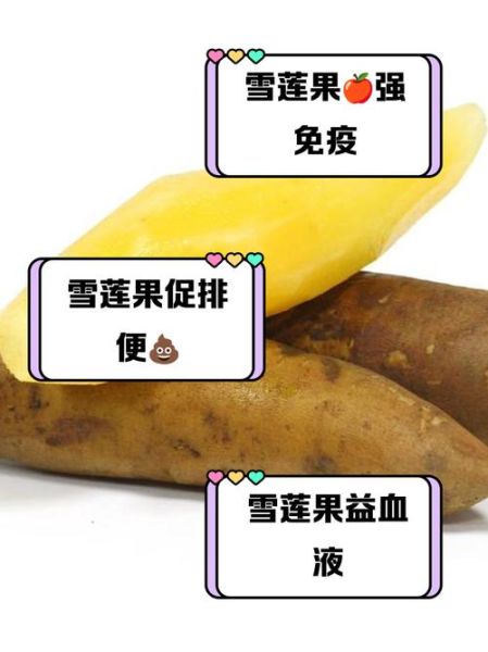 雪莲子功效与禁忌_哪些人不能吃雪莲子-第2张图片-山城妙识