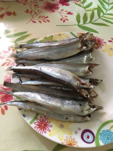 多春鱼怎么去内脏_多春鱼清理图解-第3张图片-山城妙识 多春鱼怎么去内脏_多春鱼清理图解-第3张图片-山城妙识