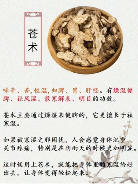 湿气很重_苍术还是白术-第1张图片-山城妙识 湿气很重_苍术还是白术-第1张图片-山城妙识