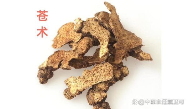 湿气很重_苍术还是白术-第2张图片-山城妙识 湿气很重_苍术还是白术-第2张图片-山城妙识