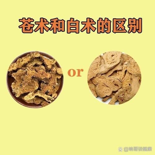 湿气很重_苍术还是白术-第3张图片-山城妙识 湿气很重_苍术还是白术-第3张图片-山城妙识
