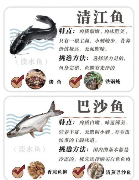 什么鱼没有刺_适合宝宝吃的无刺鱼推荐-第1张图片-山城妙识