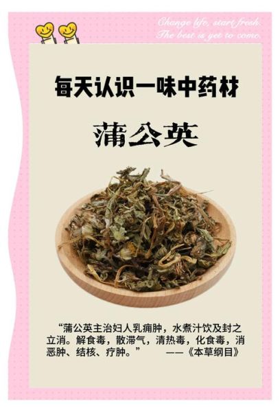 蒲公英配什么去掉寒性_蒲公英寒性怎么中和-第3张图片-山城妙识