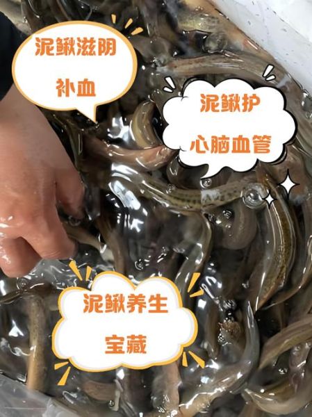 泥鳅养殖技术是骗局吗_泥鳅养殖骗局揭秘-第2张图片-山城妙识 泥鳅养殖技术是骗局吗_泥鳅养殖骗局揭秘-第2张图片-山城妙识