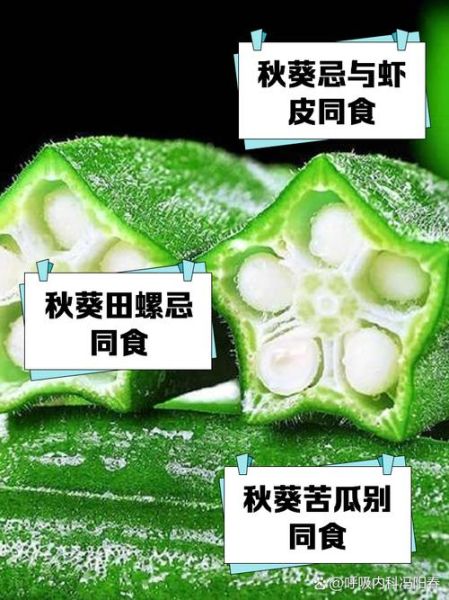 秋葵生吃会中毒吗_秋葵生吃安全吗-第3张图片-山城妙识 秋葵生吃会中毒吗_秋葵生吃安全吗-第3张图片-山城妙识