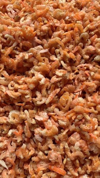 虾米是什么意思_虾米是什么东西-第2张图片-山城妙识