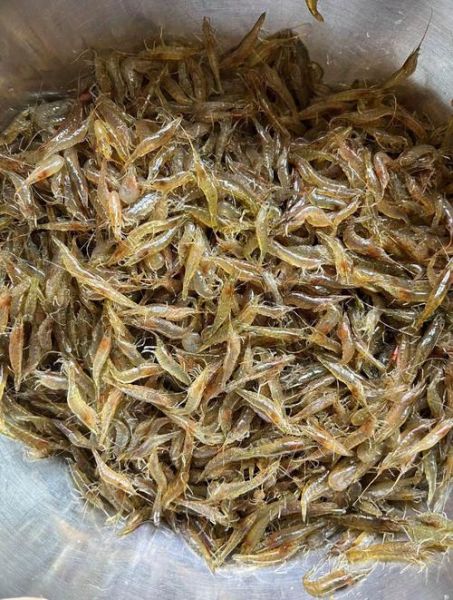 虾米是什么意思_虾米是什么东西-第1张图片-山城妙识