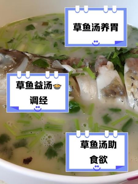 草鱼汤的功效与作用_草鱼汤适合什么人喝-第1张图片-山城妙识
