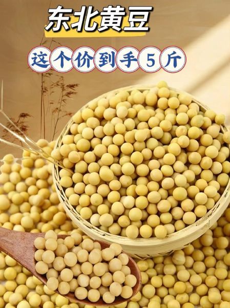 大豆图片素材哪里找_如何挑选高清无版权图-第2张图片-山城妙识