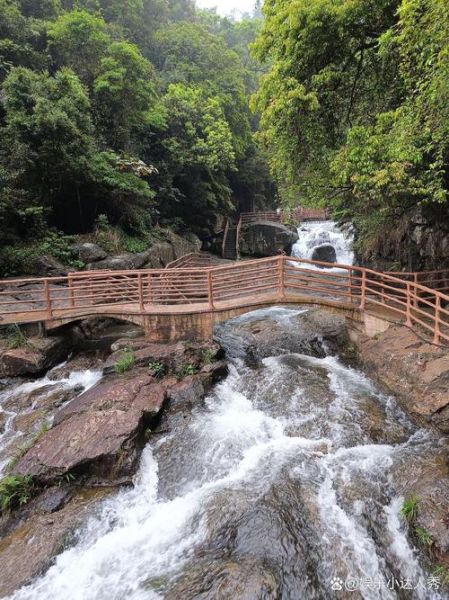 揭阳市有什么好玩的地方_揭阳市旅游攻略-第1张图片-山城妙识 揭阳市有什么好玩的地方_揭阳市旅游攻略-第1张图片-山城妙识