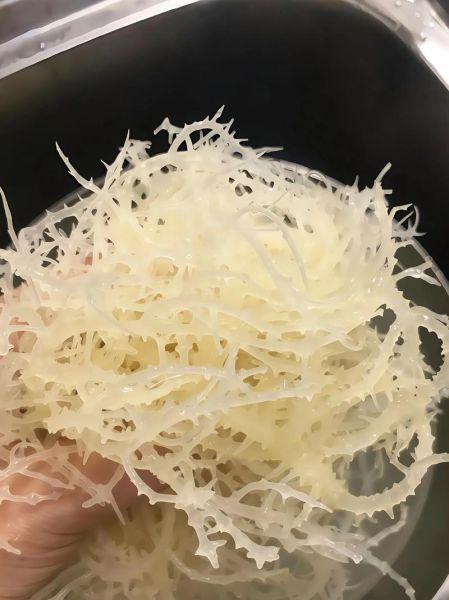 凉拌龙须菜怎么做好吃_龙须菜焯水几分钟-第3张图片-山城妙识