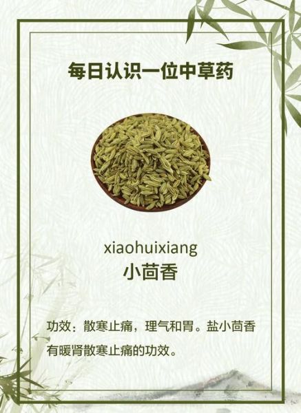 小茴香对妇科的功效与作用_小茴香怎么吃调理月经-第1张图片-山城妙识