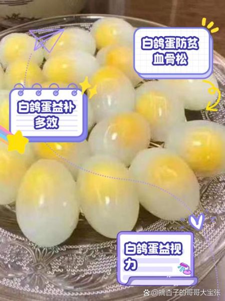 哪种鸽子蛋最有营养_鸽子蛋营养价值对比-第1张图片-山城妙识 哪种鸽子蛋最有营养_鸽子蛋营养价值对比-第1张图片-山城妙识