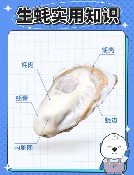 生蚝哪些部位不能吃_生蚝内脏图解-第1张图片-山城妙识