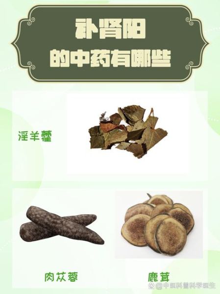 补肾中药有哪些药材_肾阳虚吃什么中药-第3张图片-山城妙识 补肾中药有哪些药材_肾阳虚吃什么中药-第3张图片-山城妙识
