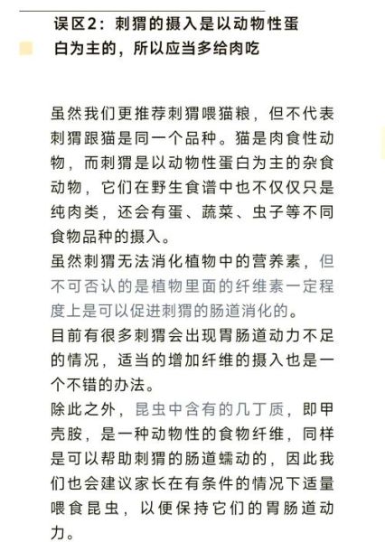 刺猬怎么养_刺猬吃什么食物-第1张图片-山城妙识