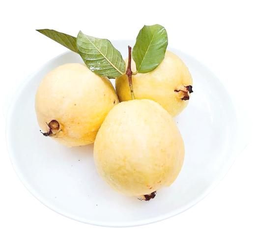 芭乐汁怎么做_芭乐汁的做法步骤-第1张图片-山城妙识 芭乐汁怎么做_芭乐汁的做法步骤-第1张图片-山城妙识