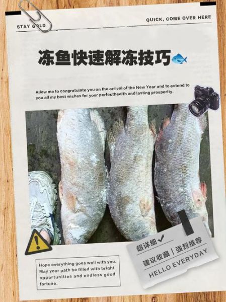冻带鱼怎么解冻_冻带鱼快速解冻的正确方法-第3张图片-山城妙识