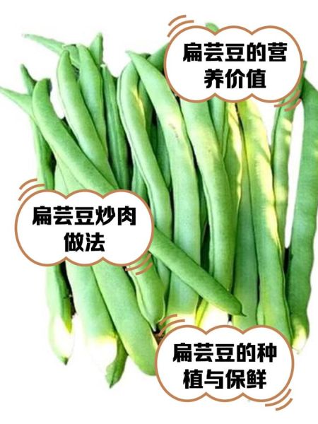 扁云豆角怎么做好吃_扁云豆角的家常做法大全-第3张图片-山城妙识
