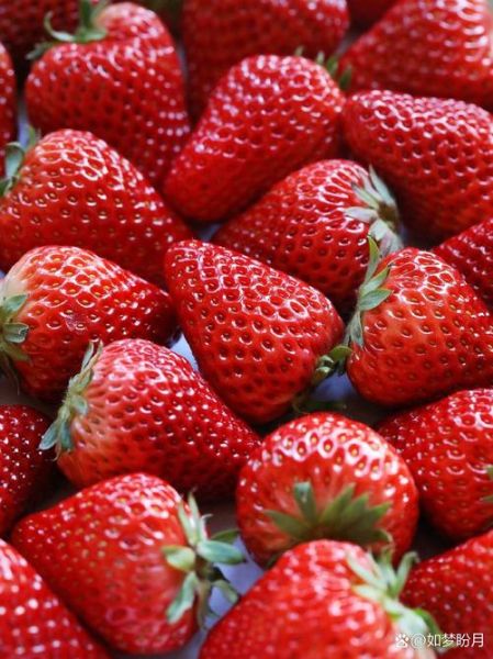 草莓图片素材哪里找_草莓高清图片怎么拍-第3张图片-山城妙识