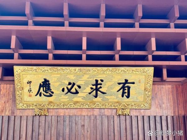 五香扣肉怎么做_正宗做法窍门-第2张图片-山城妙识 五香扣肉怎么做_正宗做法窍门-第2张图片-山城妙识