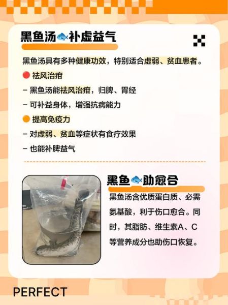 黑鱼汤的功效与作用_术后恢复喝黑鱼汤好吗-第3张图片-山城妙识 黑鱼汤的功效与作用_术后恢复喝黑鱼汤好吗-第3张图片-山城妙识
