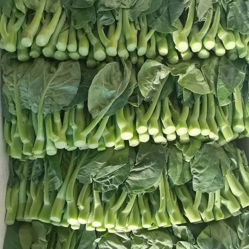 菜心和芥蓝的区别_哪个更好吃-第2张图片-山城妙识 菜心和芥蓝的区别_哪个更好吃-第2张图片-山城妙识