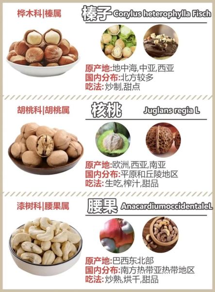 坚果包括哪些果实_常见坚果种类大全-第3张图片-山城妙识 坚果包括哪些果实_常见坚果种类大全-第3张图片-山城妙识