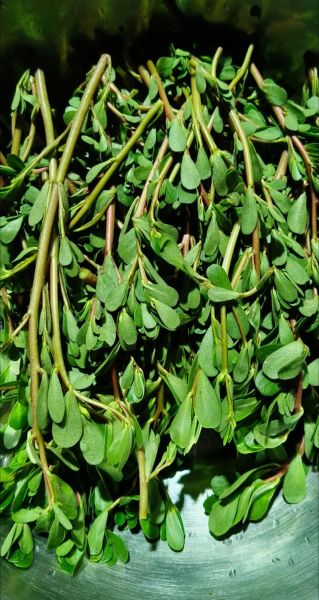 苋菜用不用焯水_焯水后营养会流失吗-第3张图片-山城妙识