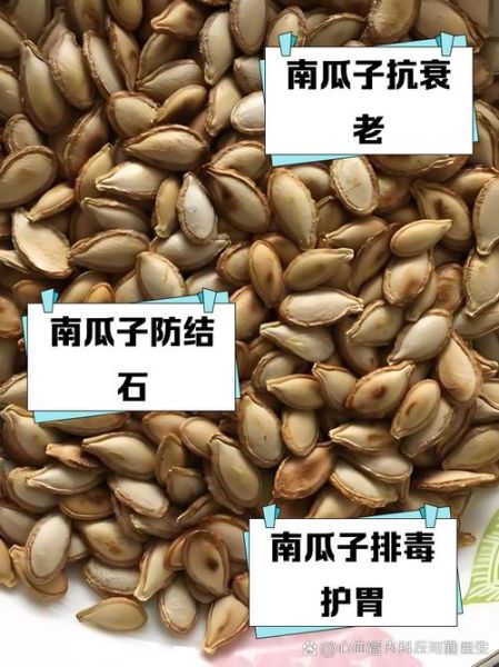 白瓜子是南瓜子吗_白瓜子与南瓜子区别-第1张图片-山城妙识
