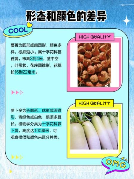 turnip怎么保存不发芽_turnip和萝卜区别-第2张图片-山城妙识