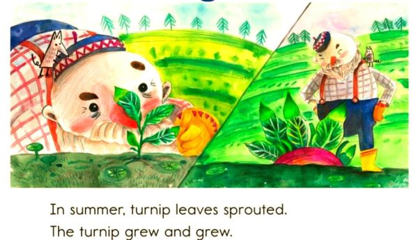 turnip怎么保存不发芽_turnip和萝卜区别-第3张图片-山城妙识