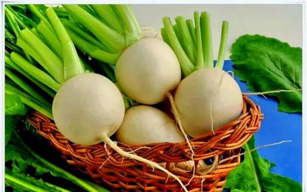 turnip怎么保存不发芽_turnip和萝卜区别-第1张图片-山城妙识