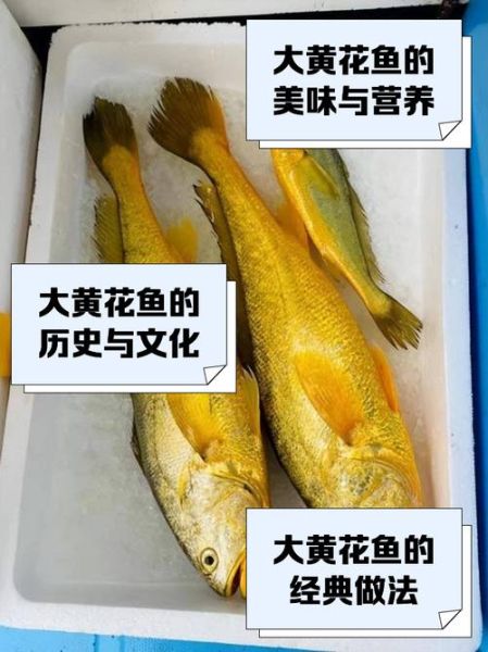 大黄花鱼刺多吗_适合宝宝吃吗-第1张图片-山城妙识 大黄花鱼刺多吗_适合宝宝吃吗-第1张图片-山城妙识