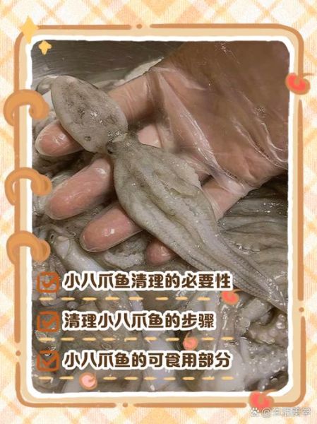 八爪鱼怎么清洗_八爪鱼内脏在哪-第2张图片-山城妙识