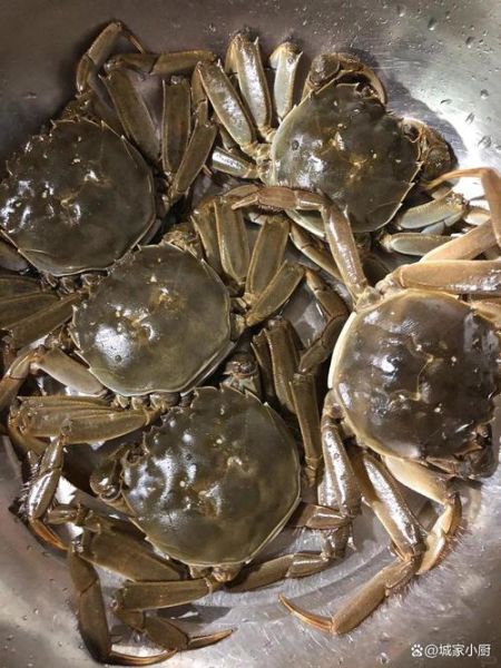 清蒸河蟹多长时间_清蒸河蟹冷水还是热水下锅-第2张图片-山城妙识