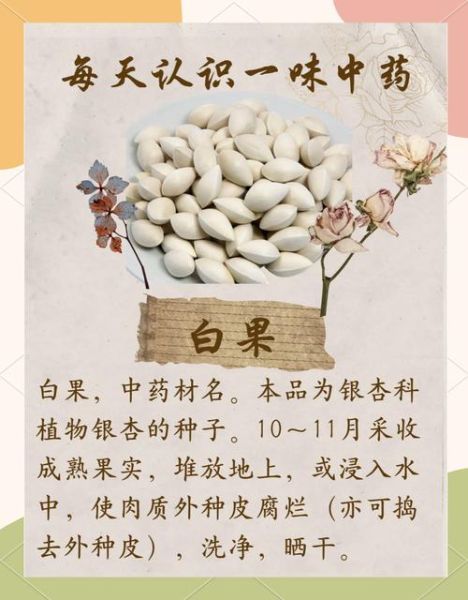 白果治妇科病每天吃几粒_白果一天吃多少粒合适-第1张图片-山城妙识 白果治妇科病每天吃几粒_白果一天吃多少粒合适-第1张图片-山城妙识