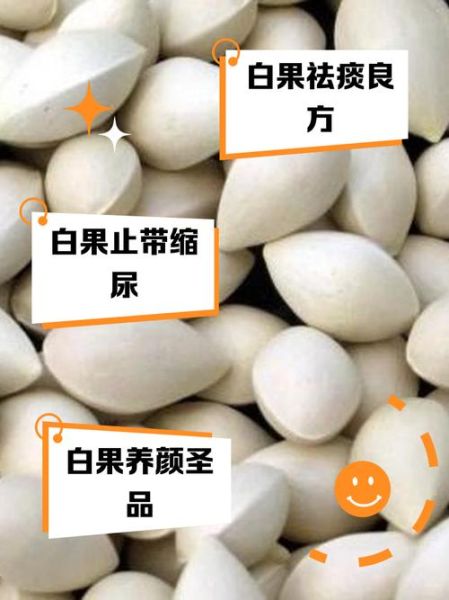 白果治妇科病每天吃几粒_白果一天吃多少粒合适-第3张图片-山城妙识 白果治妇科病每天吃几粒_白果一天吃多少粒合适-第3张图片-山城妙识