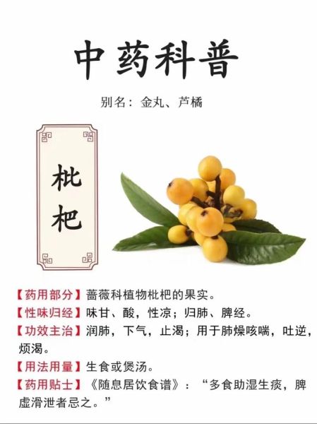 枇杷果直接吃治咳嗽么_枇杷果止咳效果好吗-第1张图片-山城妙识