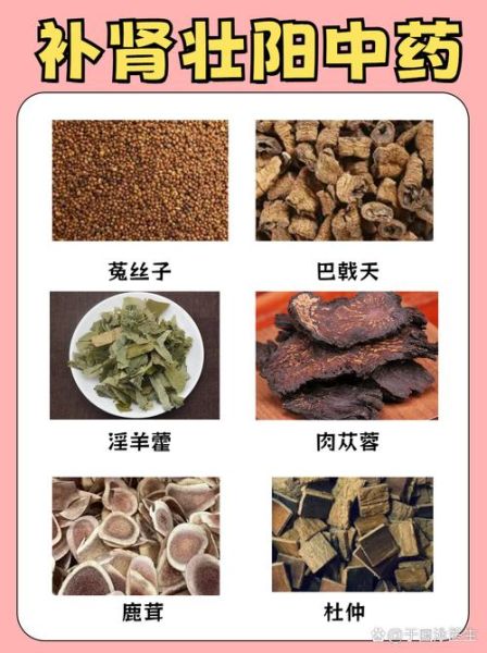 蛤蚧补肾壮阳怎么吃_蛤蚧泡酒配方与禁忌-第1张图片-山城妙识