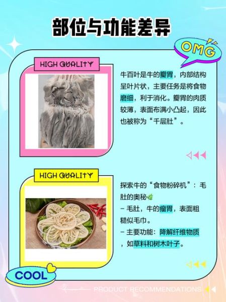 毛肚和牛百叶一样吗_毛肚和牛百叶的区别-第1张图片-山城妙识