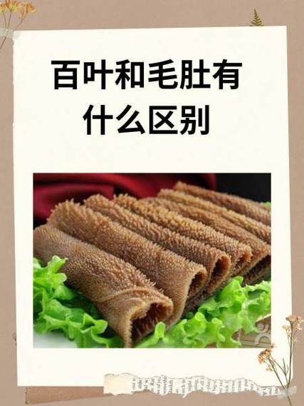毛肚和牛百叶一样吗_毛肚和牛百叶的区别-第3张图片-山城妙识