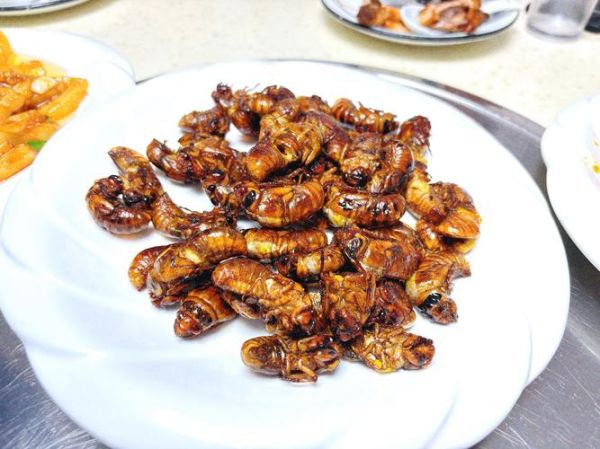 炸知了的功效与作用_炸知了禁忌有哪些-第1张图片-山城妙识 炸知了的功效与作用_炸知了禁忌有哪些-第1张图片-山城妙识