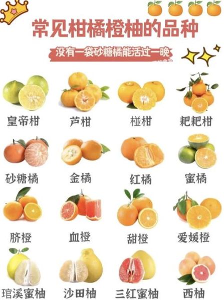 柑和橘的区别_柑和橘哪个好吃-第2张图片-山城妙识 柑和橘的区别_柑和橘哪个好吃-第2张图片-山城妙识