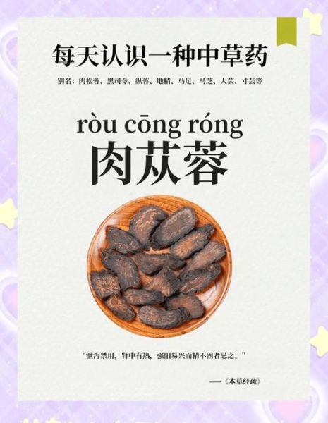 肉丛蓉是什么_肉丛蓉功效与作用-第2张图片-山城妙识