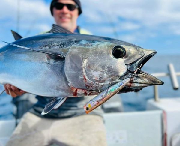 蓝鳍金枪鱼最大记录_世界纪录是多少-第3张图片-山城妙识 蓝鳍金枪鱼最大记录_世界纪录是多少-第3张图片-山城妙识