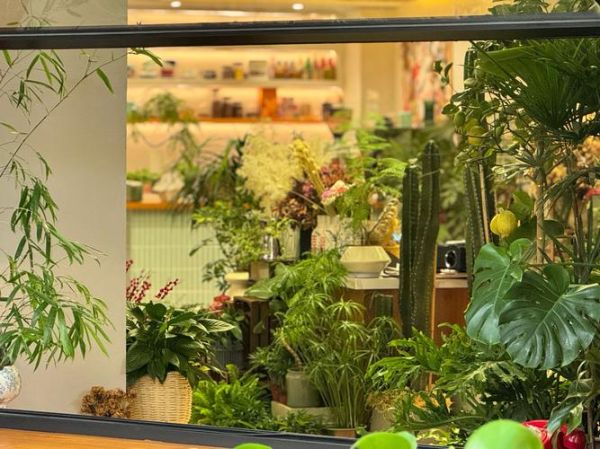 焦糖玛奇朵怎么做_家庭版焦糖玛奇朵配方-第3张图片-山城妙识 焦糖玛奇朵怎么做_家庭版焦糖玛奇朵配方-第3张图片-山城妙识