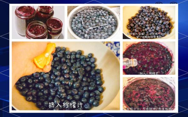 蓝莓果酱怎么吃好吃_蓝莓果酱早餐搭配-第2张图片-山城妙识