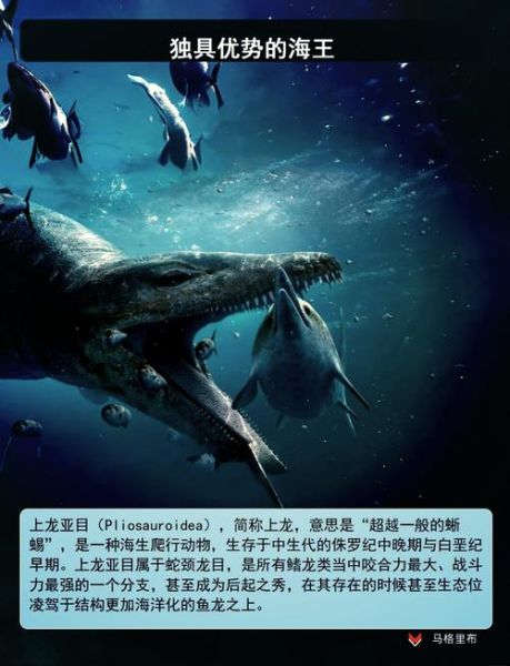 海洋十大霸主有哪些_海洋十大霸主排名-第1张图片-山城妙识