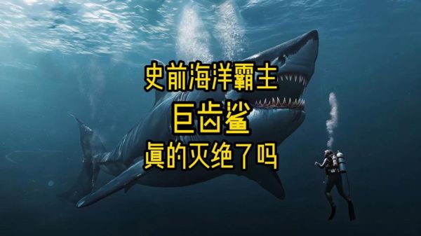 海洋十大霸主有哪些_海洋十大霸主排名-第3张图片-山城妙识